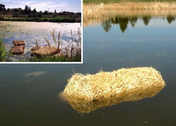Straw for Gardens – Hay Country
