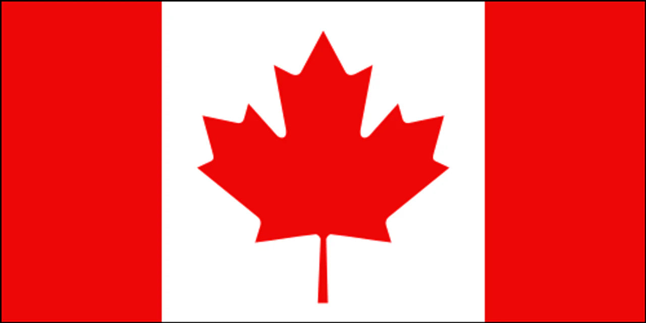 Canadian Made Hay for Rabbits & Guinea Pigs – Hay Country