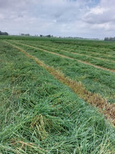 Hay Grown in Canada- Timothy Hay and Orchard grass hay for Rabbits and ...