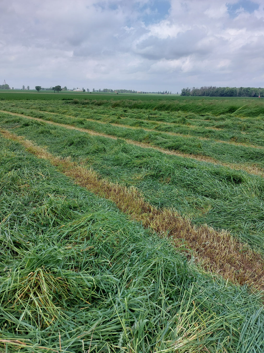 Hay Country specializes in small pet products- Ontario, Canada