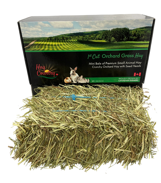 Retail Mini bales of Hay – Hay Country