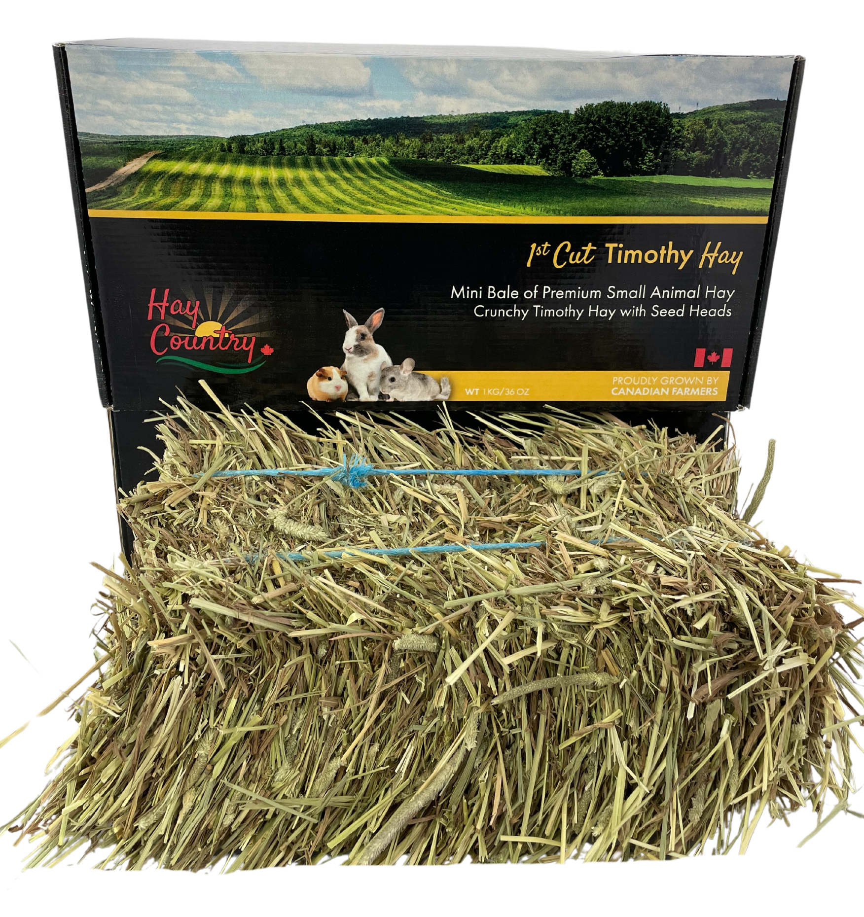 Hay Grown In Canada Timothy Hay And Orchard Grass Hay For Rabbits And Hay Grown In Canada Timothy Hay And Orchard Grass Hay For Rabbits And
