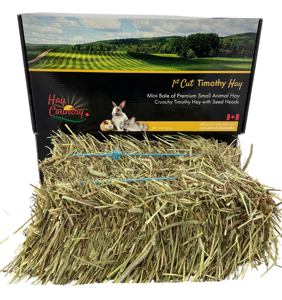Retail Mini bales of Hay – Hay Country