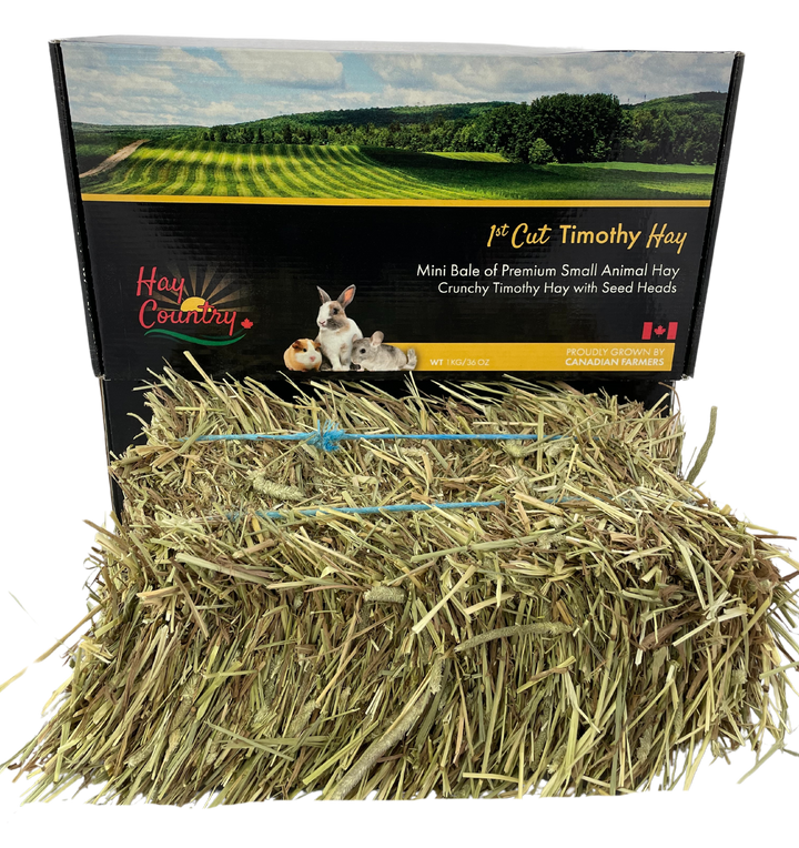 Hay Grown in Canada- Timothy Hay and Orchard grass hay for Rabbits and ...