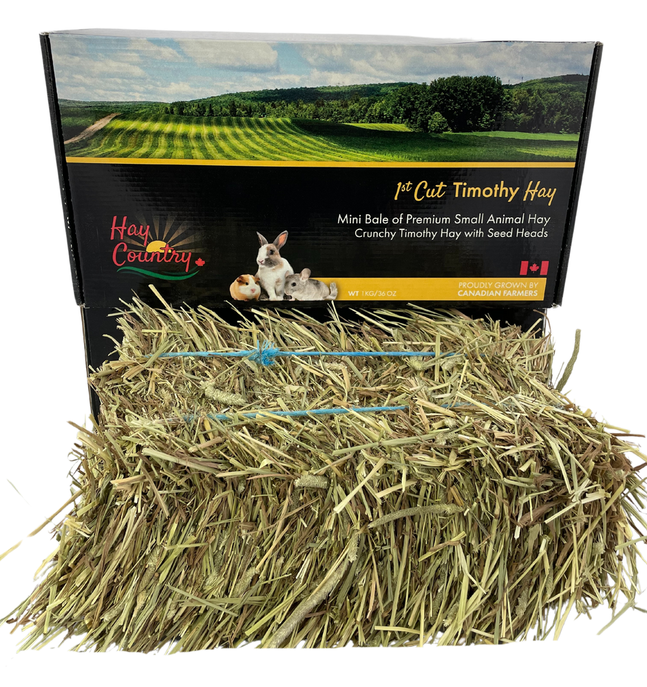 Hay Grown in Canada- Timothy Hay and Orchard grass hay for Rabbits and ...
