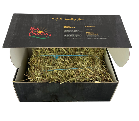 Retail Mini bales of Hay – Hay Country