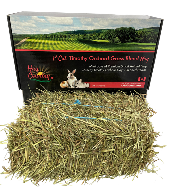 Retail Mini bales of Hay – Hay Country