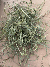 Hay Grown in Canada- Timothy Hay and Orchard grass hay for Rabbits and ...
