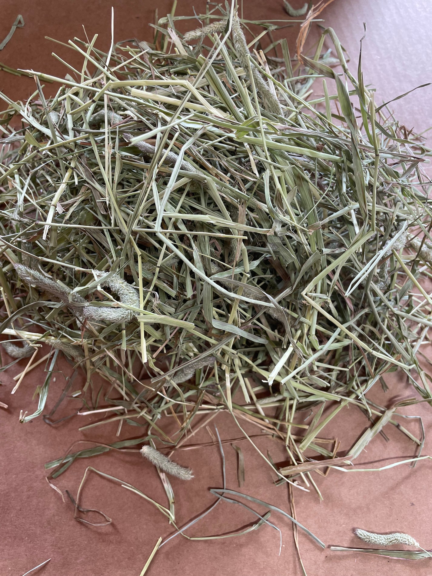 1st cut Timothy Hay Best for Rabbits, Guinea Pigs and Chinchilla's ...