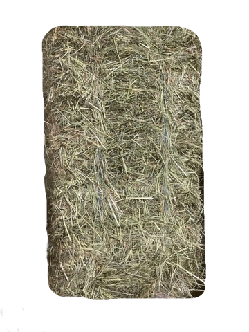 Hay Grown in Canada- Timothy Hay and Orchard grass hay for Rabbits and ...