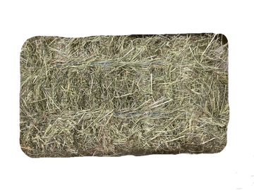 Hay Grown in Canada- Timothy Hay and Orchard grass hay for Rabbits and ...