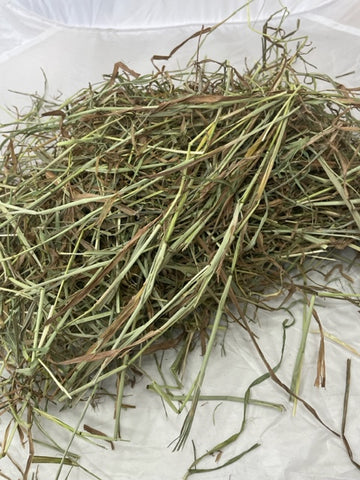 Hay Grown in Canada- Timothy Hay and Orchard grass hay for Rabbits and ...