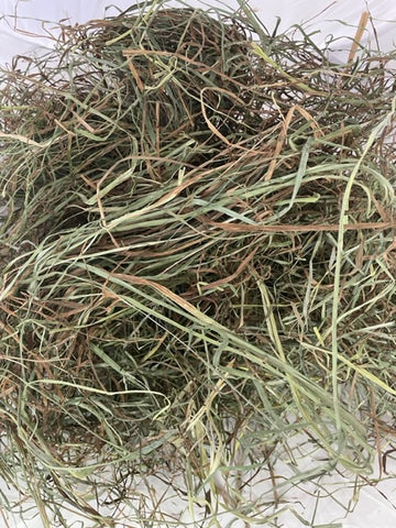 Hay Grown in Canada- Timothy Hay and Orchard grass hay for Rabbits and ...