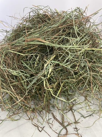 Hay Grown in Canada- Timothy Hay and Orchard grass hay for Rabbits and ...