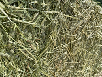 Hay Grown in Canada- Timothy Hay and Orchard grass hay for Rabbits and ...