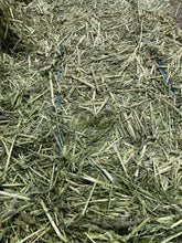 Hay Grown in Canada- Timothy Hay and Orchard grass hay for Rabbits and ...