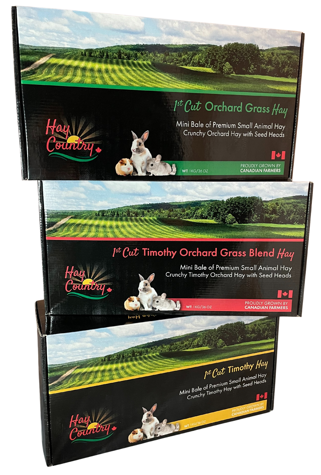 Hay Grown in Canada- Timothy Hay and Orchard grass hay for Rabbits and ...