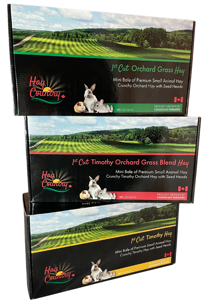 Hay Grown in Canada- Timothy Hay and Orchard grass hay for Rabbits and ...