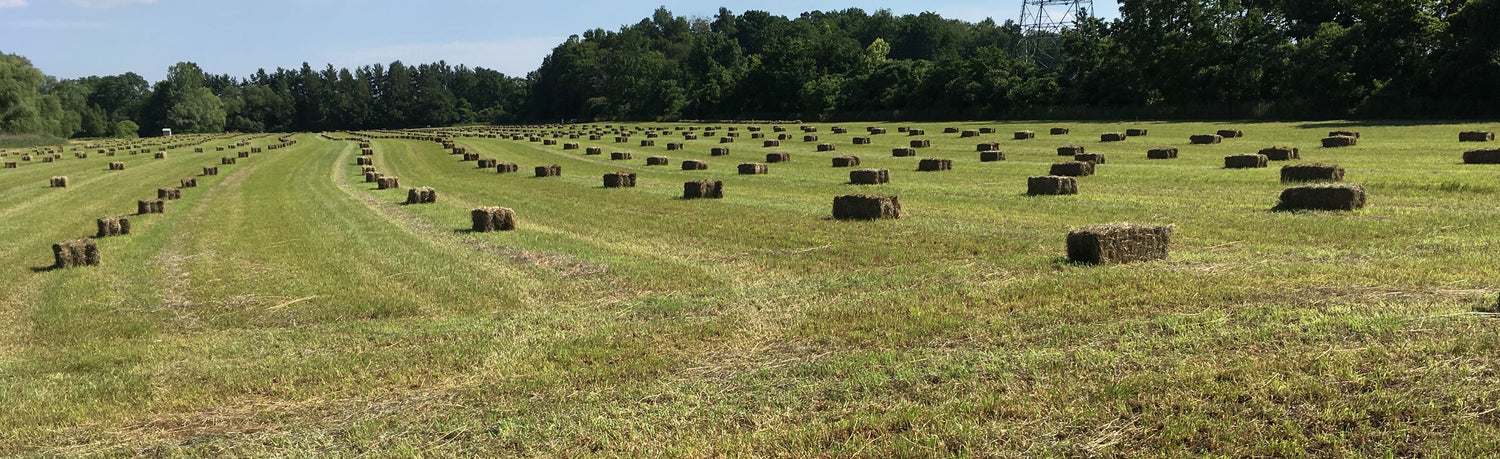 Hay Country specializes in small pet products- Ontario, Canada