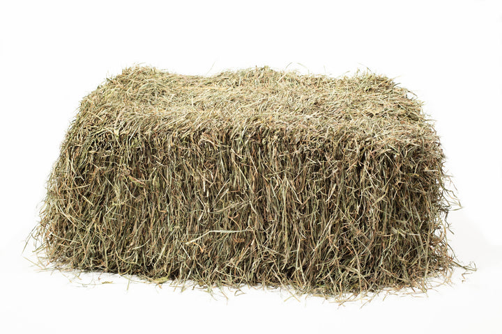 Timothy Hay and Orchard grass hay for Rabbits and Guinea Pigs – Hay Country